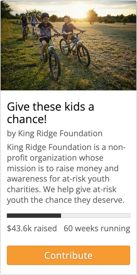 Fundraising Widget and Donation Widget - Reach More People and Raise ...