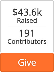 Fundraising Widget and Donation Widget - Reach More People and Raise ...